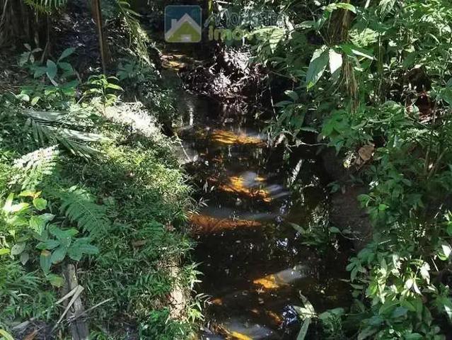 Terreno / Lote para Venda em Morretes/PR Zona Rural