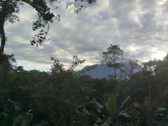 Terreno / Lote para Venda em Morretes/PR Zona Rural