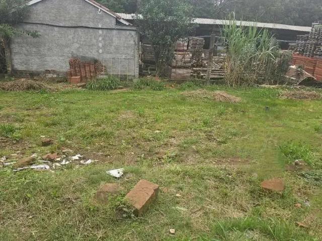 Terreno / Lote para Venda em Morro Reuter/RS Centro