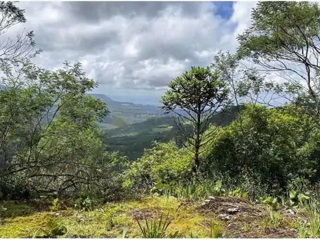 Terreno / Lote para Venda em Morro Reuter/RS Mato Comprido