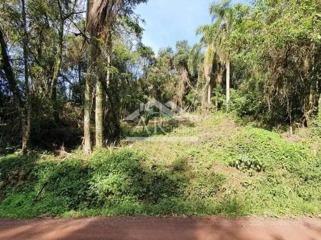Terreno / Lote para Venda em Morro Reuter/RS Recanto das Flores