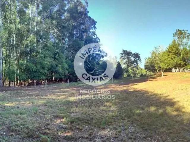 Terreno / Lote para Venda em Não Me Toque/RS Centro