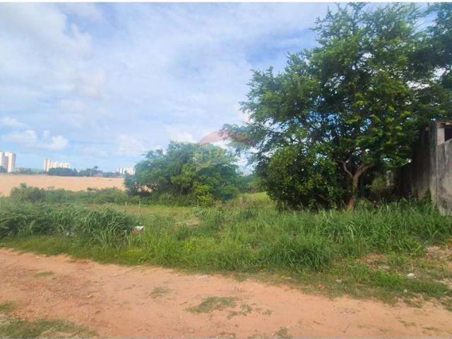 Terreno / Lote para Venda em Natal/RN Candelária