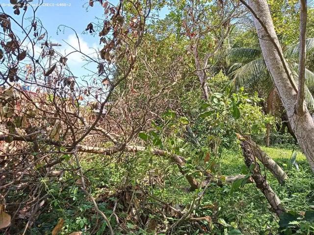 Terreno / Lote para Venda em Natal/RN Ponta Negra