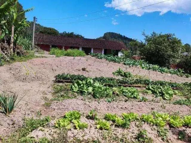 Terreno / Lote para Venda em Natividade da Serra/SP Pouso Alto