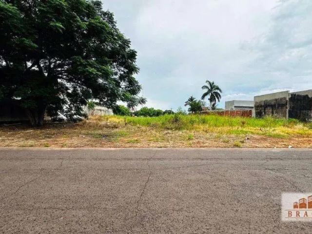 Terreno / Lote para Venda em Naviraí/MS Centro