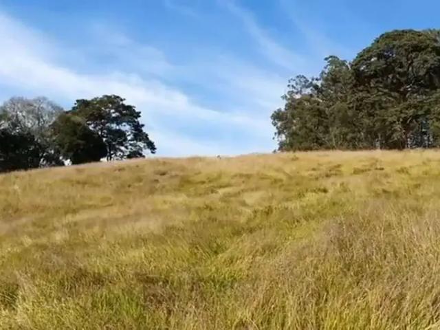 Terreno / Lote para Venda em Nazaré Paulista/SP Centro