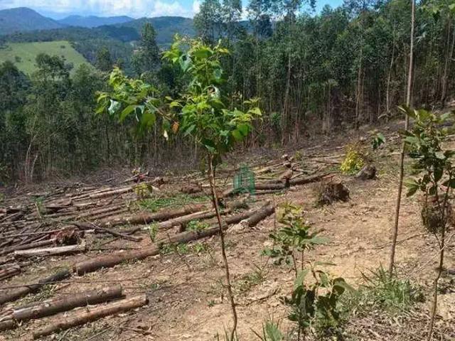 Terreno / Lote para Venda em Nazaré Paulista/SP Centro