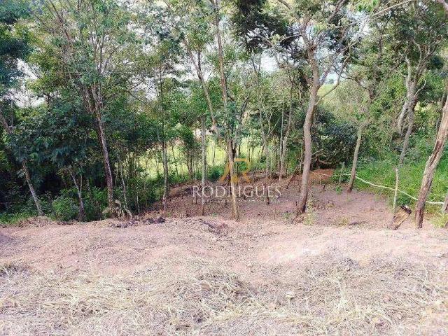 Terreno / Lote para Venda em Nazaré Paulista/SP Centro