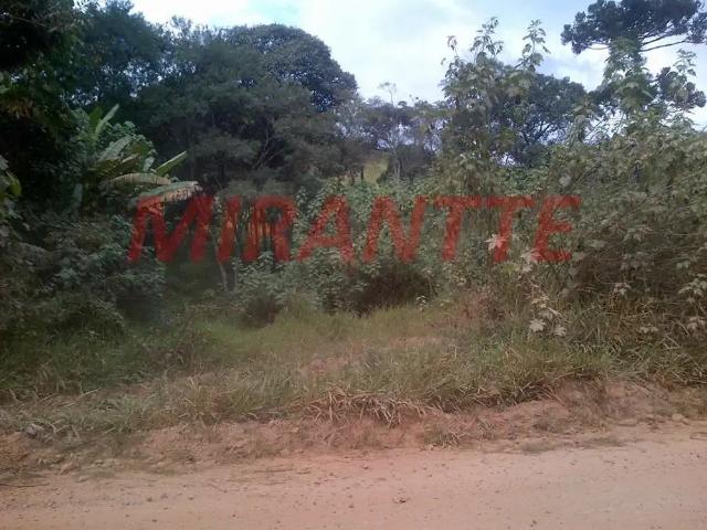 Terreno / Lote para Venda em Nazaré Paulista/SP Centro