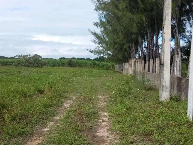 Terreno / Lote para Venda em Nísia Floresta/RN Bonfim