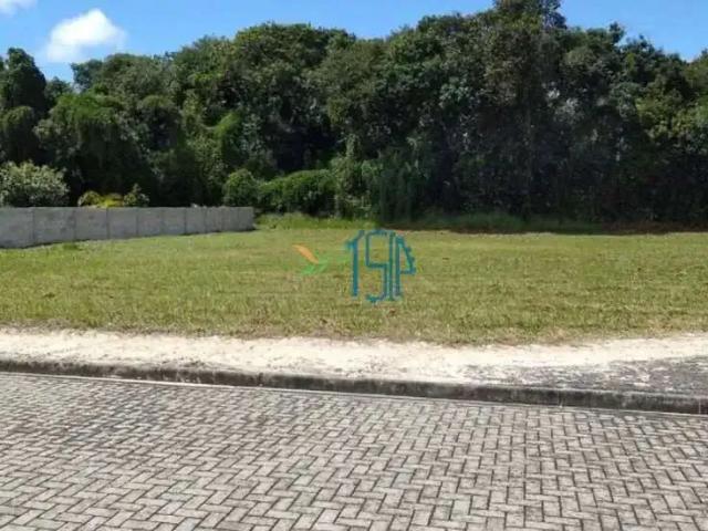 Terreno / Lote para Venda em Nísia Floresta/RN Centro