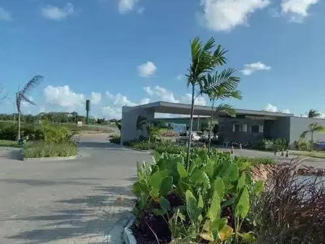 Terreno / Lote para Venda em Nísia Floresta/RN Centro