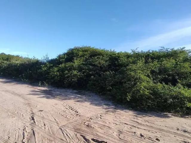 Terreno / Lote para Venda em Nísia Floresta/RN Povoado de Pium