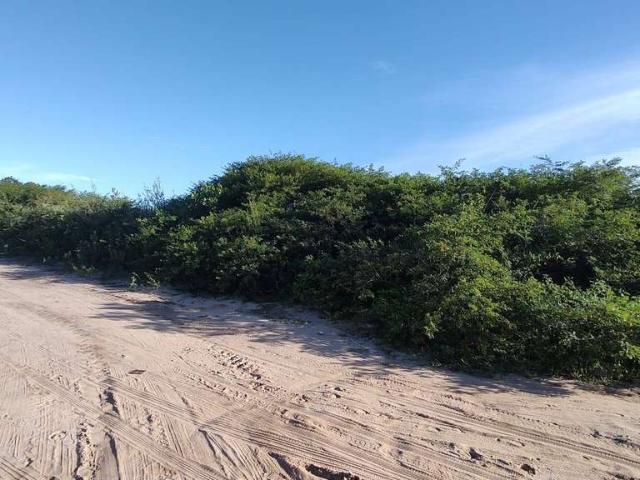 Terreno / Lote para Venda em Nísia Floresta/RN Povoado de Pium