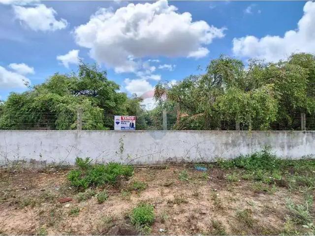 Terreno / Lote para Venda em Nísia Floresta/RN Povoado de Pium