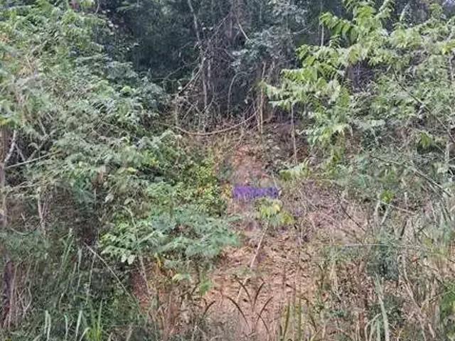 Terreno / Lote para Venda em Niterói/RJ Cafubá