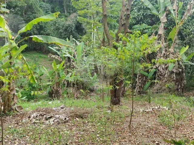 Terreno / Lote para Venda em Niterói/RJ Badu