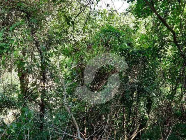 Terreno / Lote para Venda em Niterói/RJ Engenho do Mato