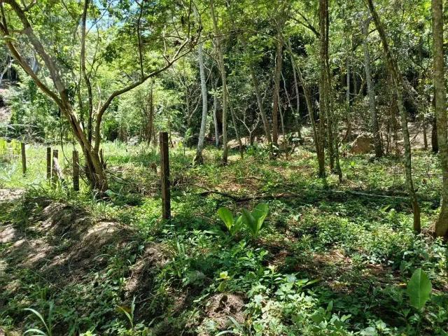 Terreno / Lote para Venda em Niterói/RJ Engenho do Mato