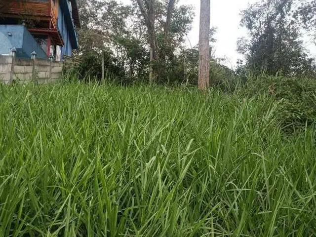 Terreno / Lote para Venda em Niterói/RJ Itaipu