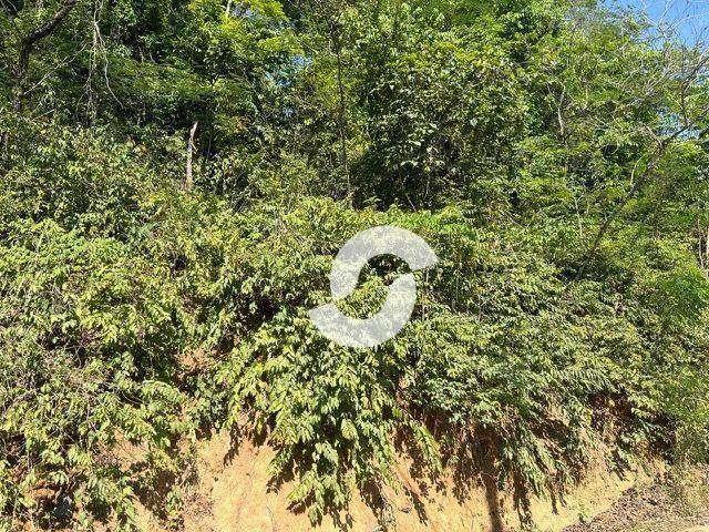 Terreno / Lote para Venda em Niterói/RJ Maravista