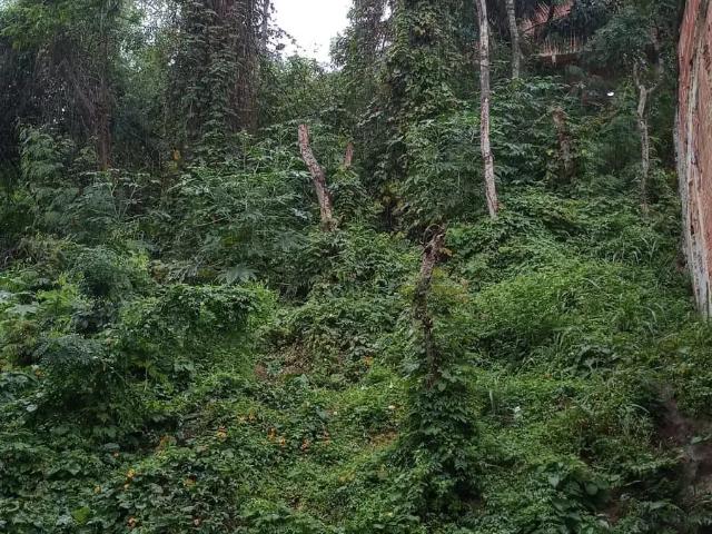 Terreno / Lote para Venda em Niterói/RJ Maravista