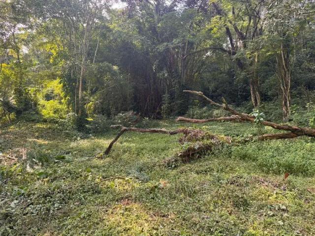 Terreno / Lote para Venda em Niterói/RJ Muriqui
