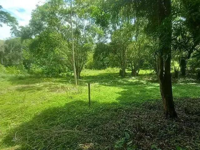 Terreno / Lote para Venda em Niterói/RJ Pendotiba