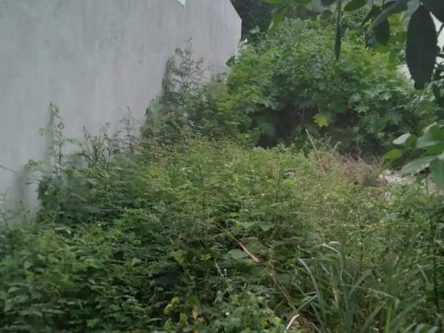 Terreno / Lote para Venda em Niterói/RJ Piratininga
