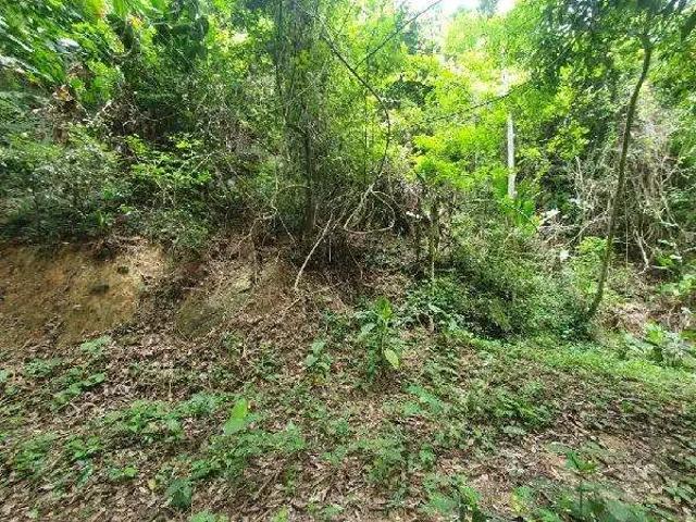 Terreno / Lote para Venda em Niterói/RJ Piratininga
