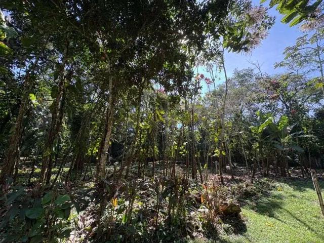 Terreno / Lote para Venda em Niterói/RJ Várzea das Moças