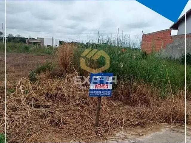 Terreno / Lote para Venda em Nova Mutum/MT Jardim Araguaia II