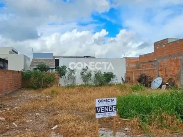 Terreno / Lote para Venda em Nova Mutum/MT Jardim Itália