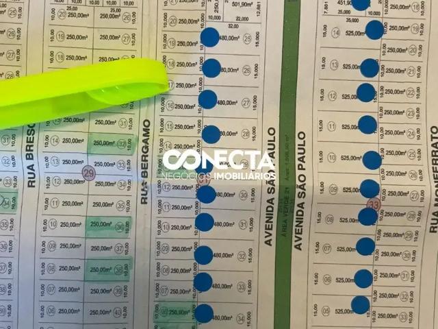 Terreno / Lote para Venda em Nova Mutum/MT Loteamento Turim