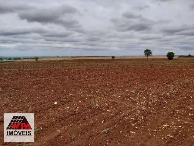 Terreno / Lote para Venda em Nova Odessa/SP Área Rural de Nova Odessa