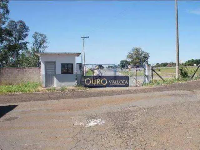 Terreno / Lote para Venda em Nova Odessa/SP Centro