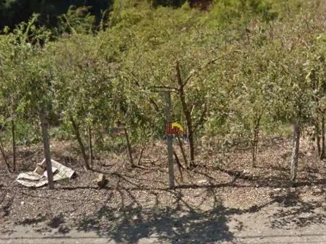 Terreno / Lote para Venda em Nova Odessa/SP Green Village