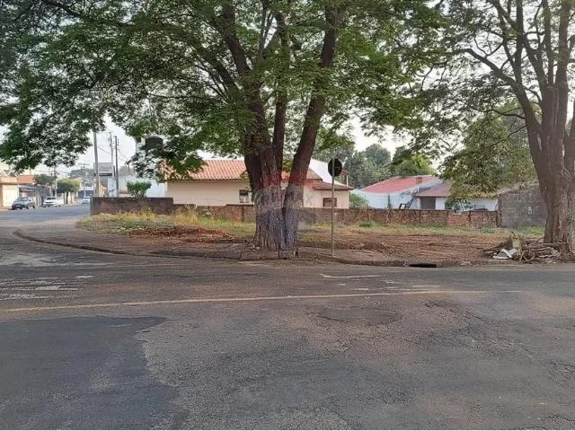 Terreno / Lote para Venda em Nova Odessa/SP Jardim Bela Vista