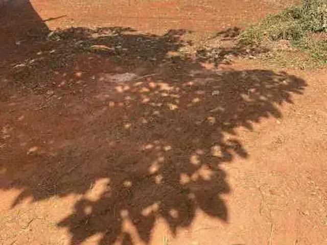 Terreno / Lote para Venda em Nova Odessa/SP Jardim Dos Lagos 2