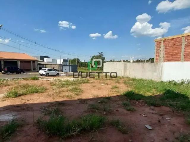 Terreno / Lote para Venda em Nova Odessa/SP Jardim dos Lagos
