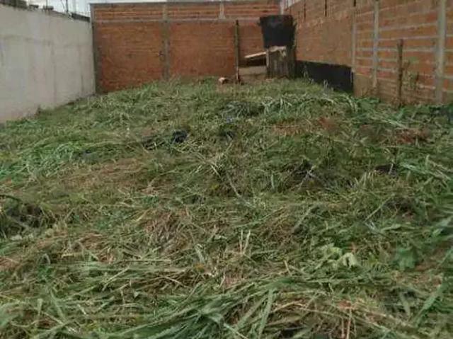 Terreno / Lote para Venda em Nova Odessa/SP Jardim dos Lagos