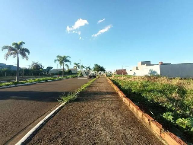 Terreno / Lote para Venda em Nova Odessa/SP Jardim dos Lagos