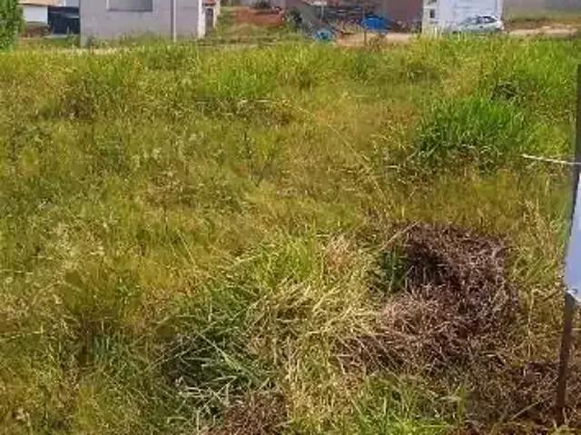 Terreno / Lote para Venda em Nova Odessa/SP Jardim dos Lagos