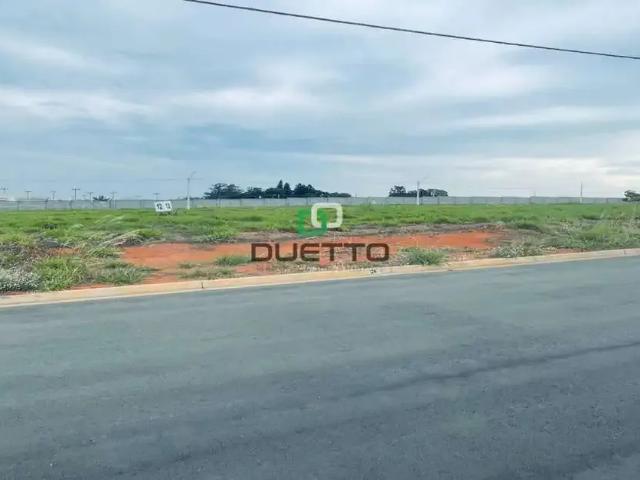 Terreno / Lote para Venda em Nova Odessa/SP Jardim Florença