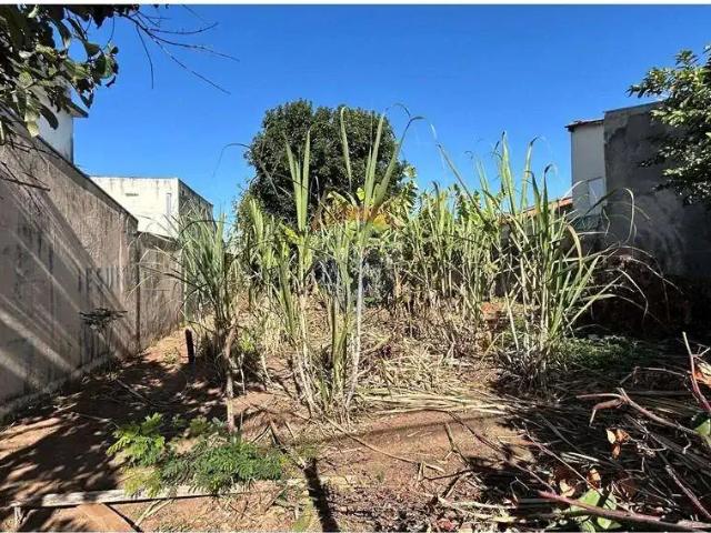 Terreno / Lote para Venda em Nova Odessa/SP Jardim São Manoel