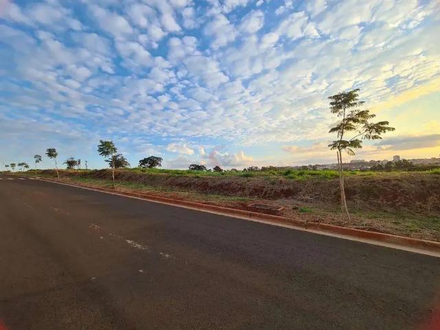 Terreno / Lote para Venda em Nova Odessa/SP Parque Industrial Tânia Maria Covalenco