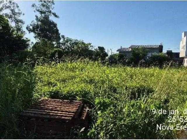 Terreno / Lote para Venda em Nova Erechim/SC Centro