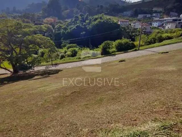Terreno / Lote para Venda em Nova Friburgo/RJ Cônego