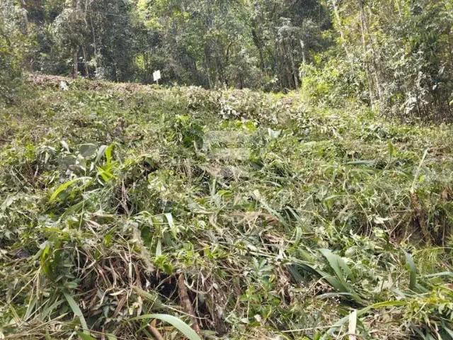 Terreno / Lote para Venda em Nova Friburgo/RJ Cônego